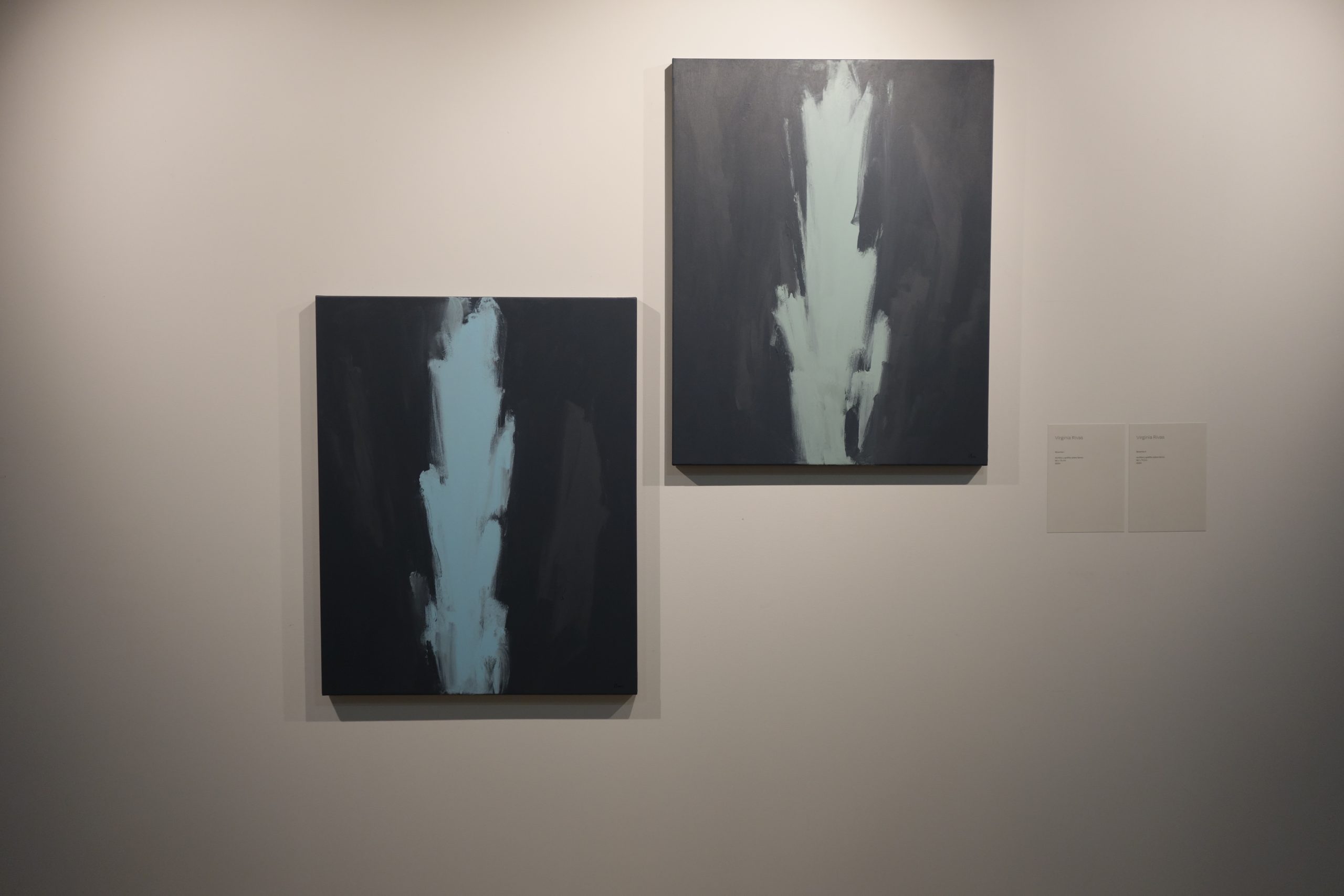 Obra - Virginia Rivas