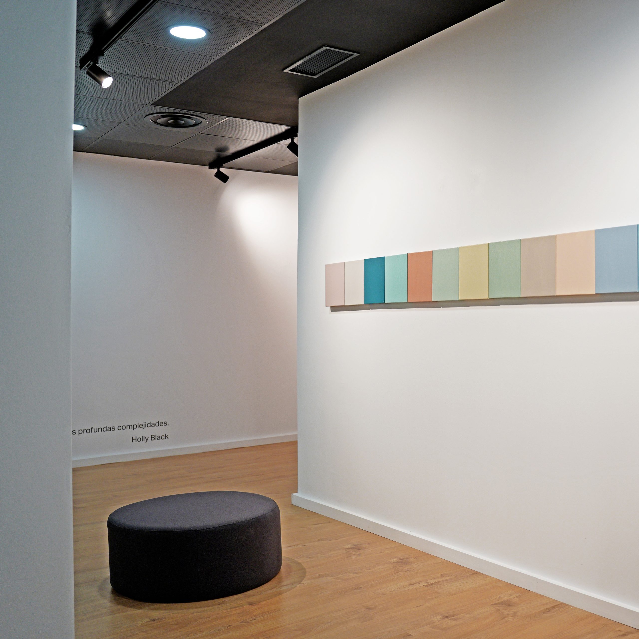 Virginia Rivas - Artista Visual